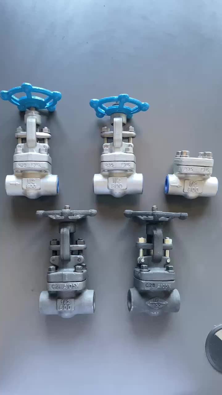 Jazzy Gate Valve Bolted Weld Bonnet Reduced/full Bore 800 1500 Api602 ...