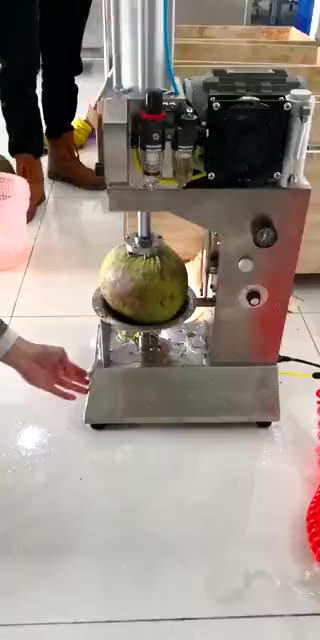 Fresh Green Coconuts Peeled Removing Skinning Dehusking Machine Coconut ...