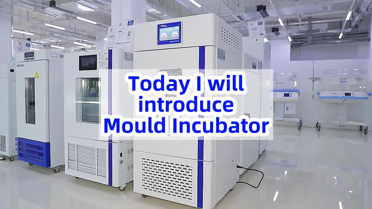Biobase Mould Incubator 100l Forced Convection Uv Lamp Incubator ...