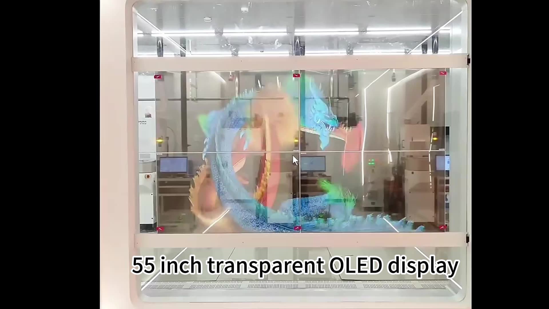 55-inch Transparent Oled Display Ultra-thin Amoled Screen Touch 1920* ...