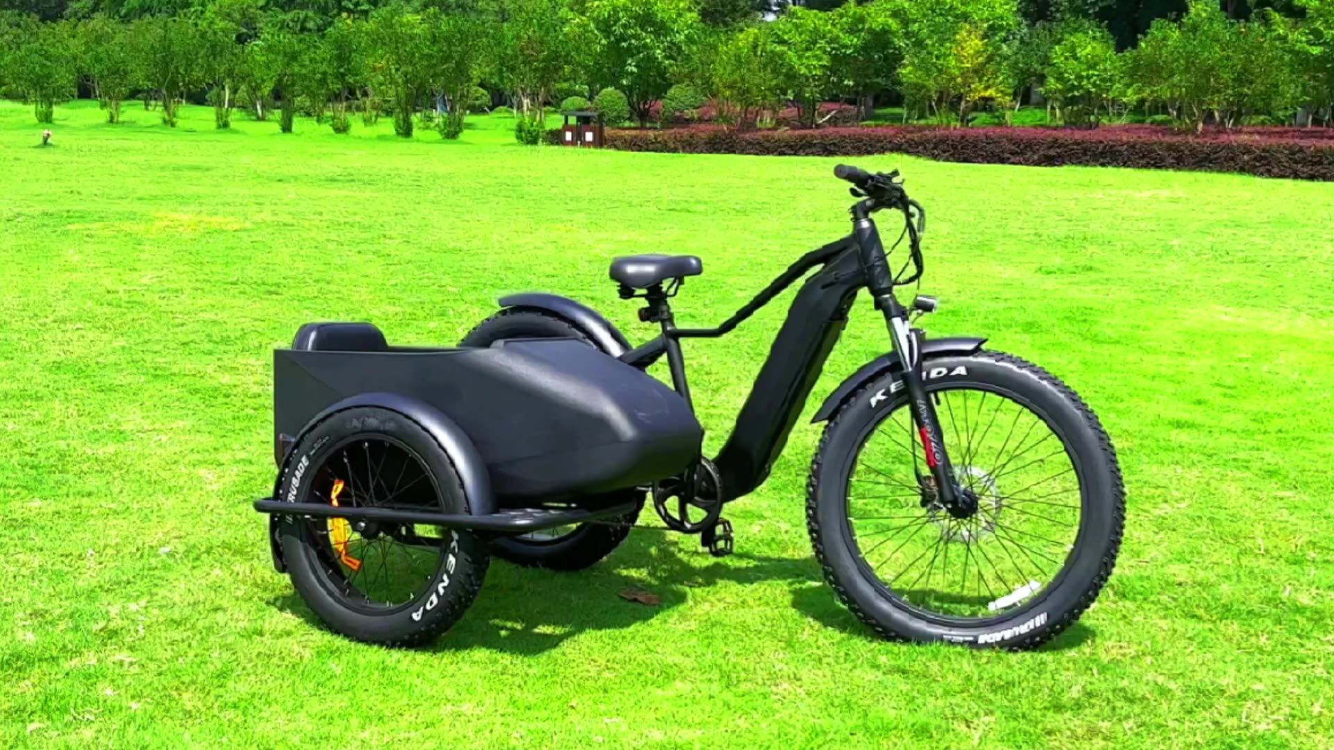Side Car Fat Pedelec/250w Side E Bicycle/500w Sidecar Electric Bicycle ...