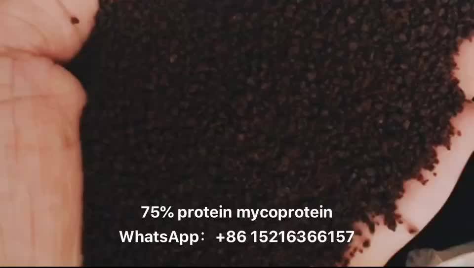 Mycoprotein Powder - Buy High Quality Mycoprotein,Best Manufacturor ...