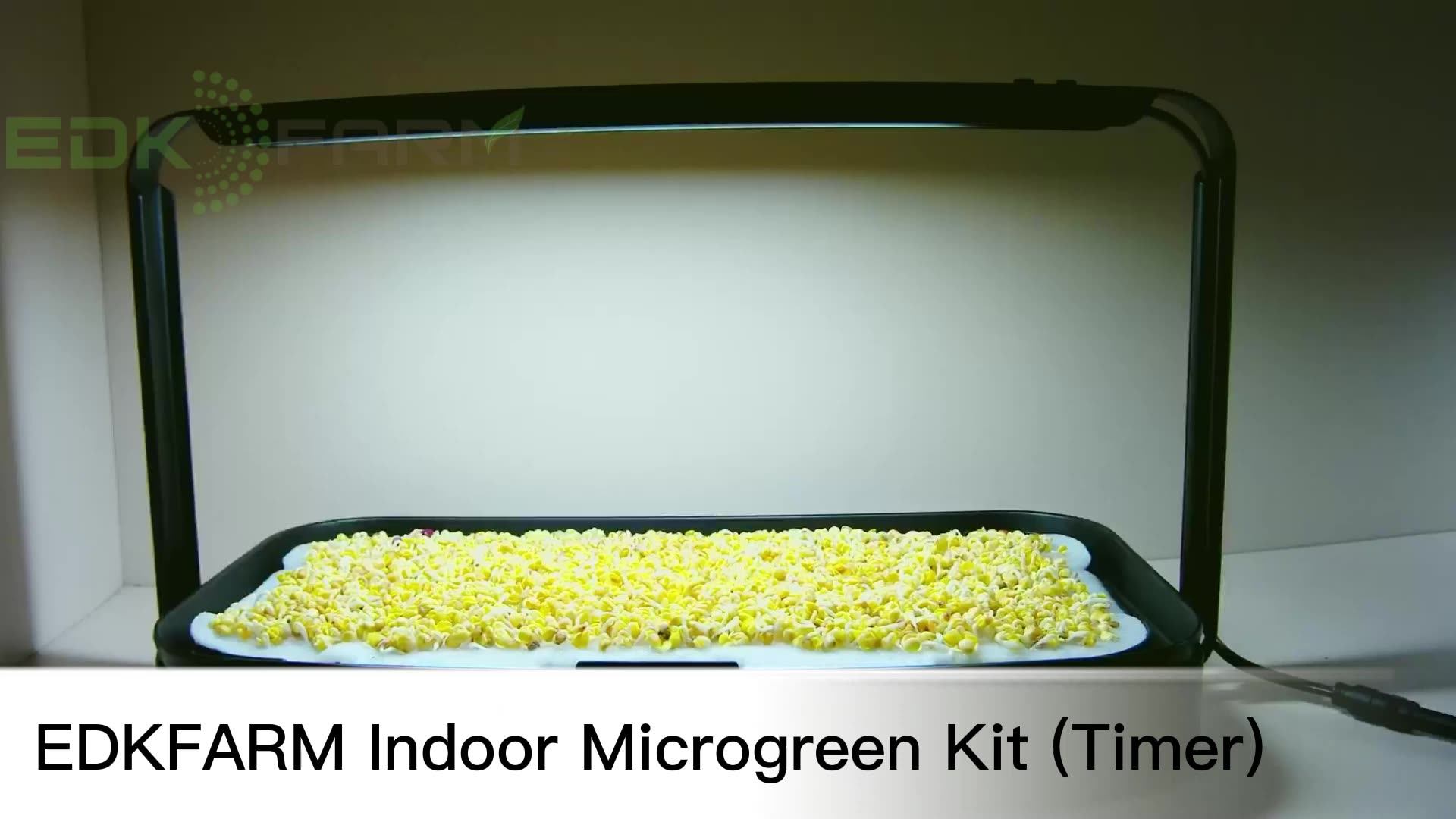 Smart Kitchen Timer Grow Light Planter Herb Vegetables Seedling Tray ...