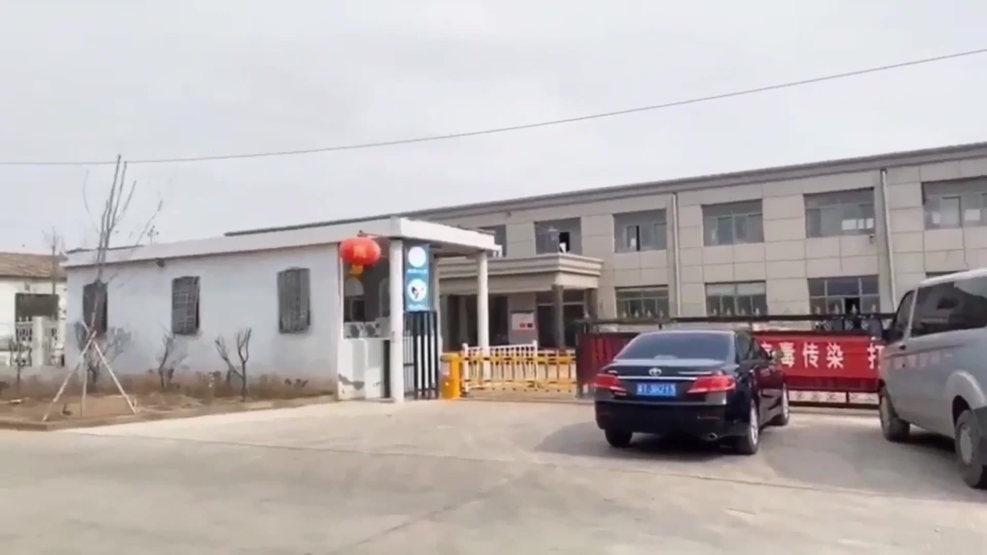 10x10 Welded Mesh Panelhog Wire Panels 6x6 Welded Wire Mesh Panels100 X ...