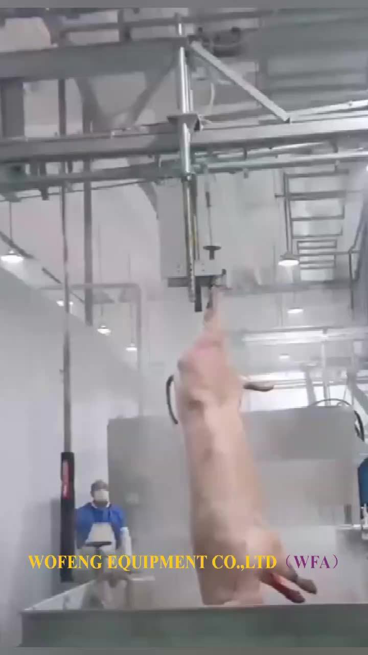 Modern Abattoir 50-100 Pig Slaughterhouse Meat Processing Line For Sow ...