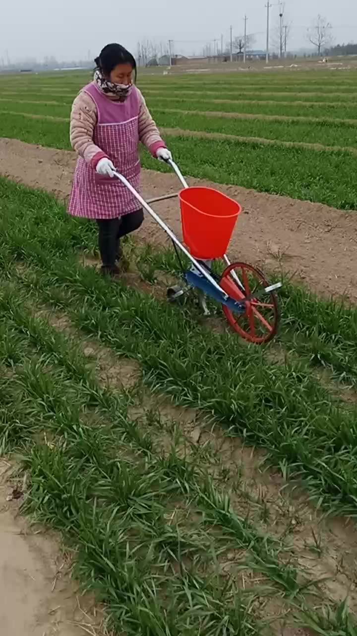 Hand Manual Precision Soybean Peanut Bean Planter Maize Planting ...