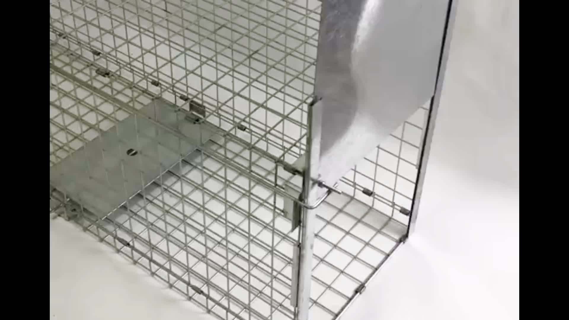 2-door Live Animal Trap Is Ideal For Catching Squirrels,Weasels ...