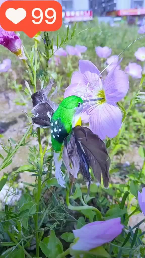 New Decoration Electric Hummingbird Solar Powered Toys Flying Bird And ...