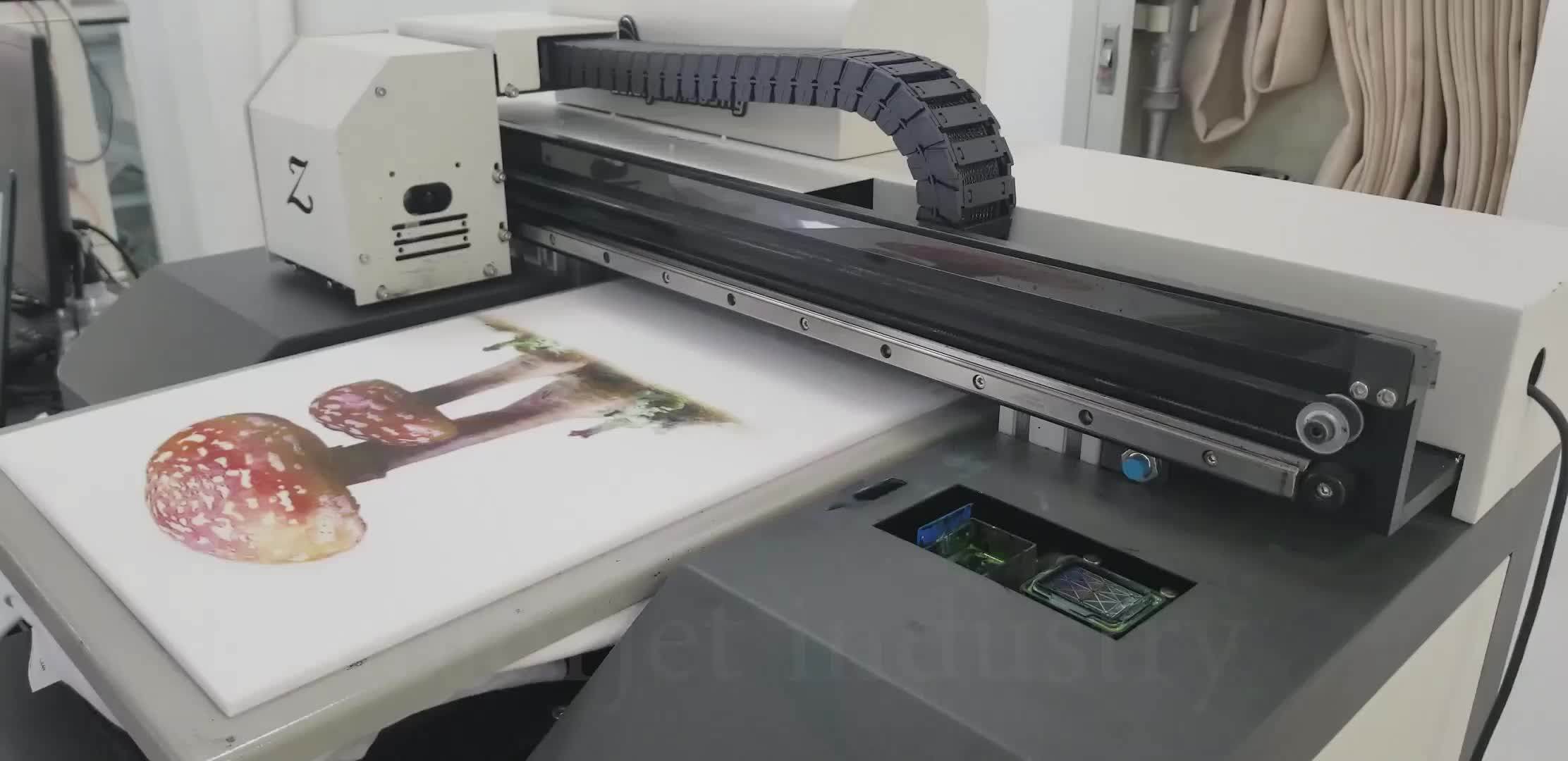 A3 Direct To Garment Printer For Cotton T-shirt Shoes Bag Printing ...