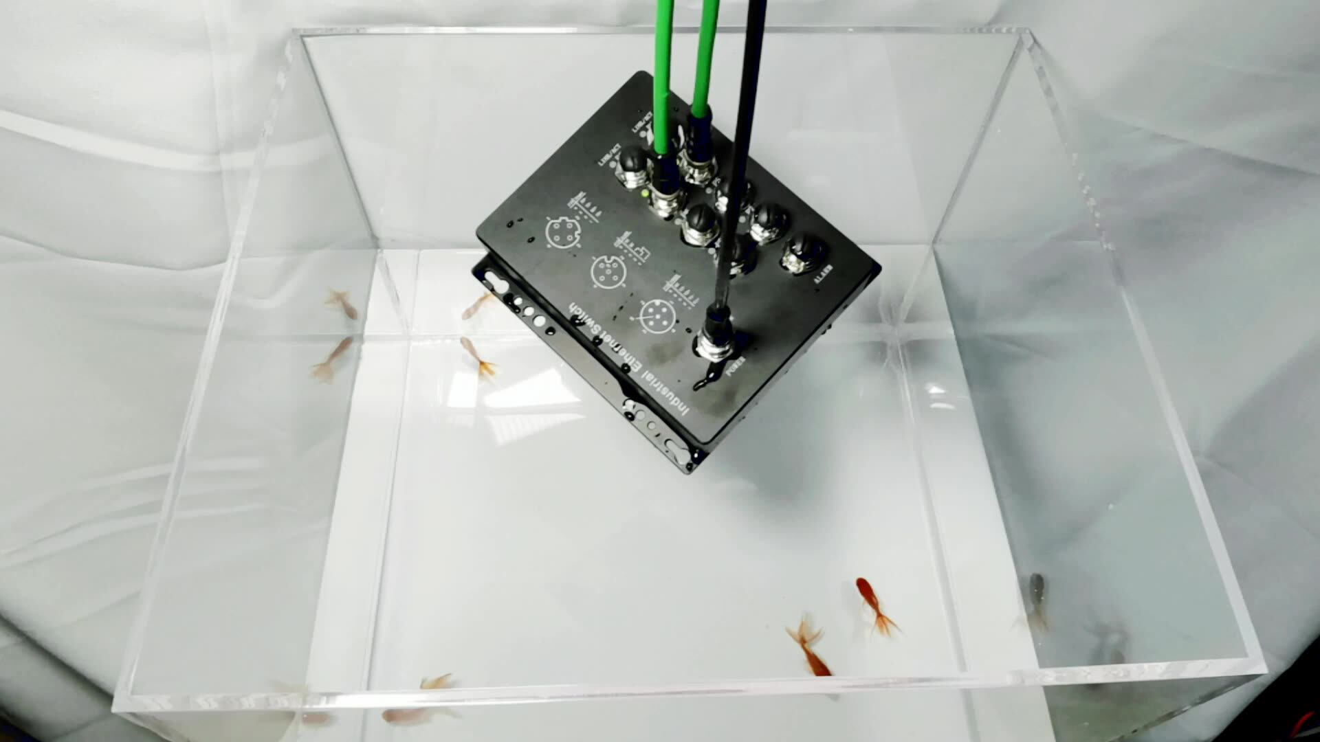 Waterproof Ip54 Ip65 Ip67 Industrial Poe Switch Ip67 8 Port M12 Railway ...