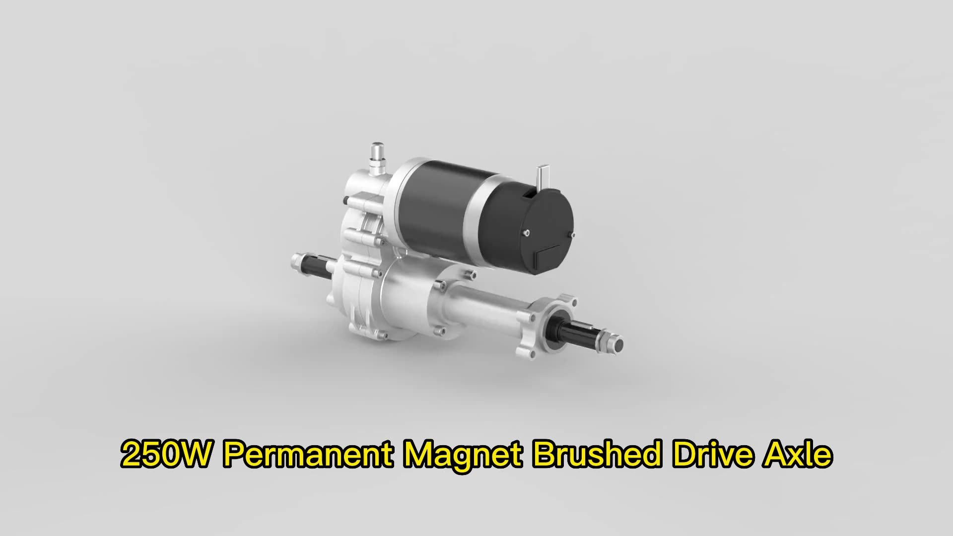 250w Bldc 24v Electric Motor Differential Permanent Magnet Brush For ...