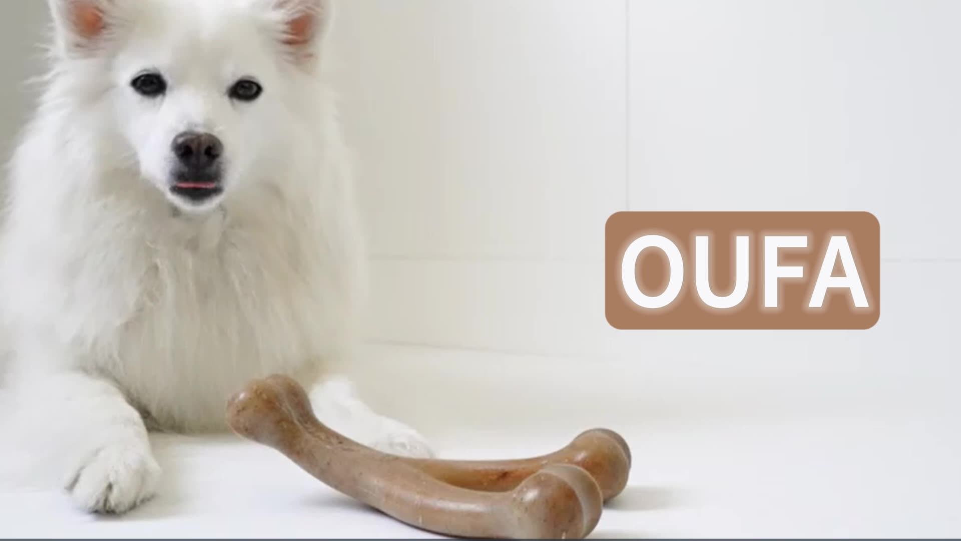 Benebone Wishbone Sturdy Durable Food Grade Dog Chew Toy For Aggressive ...