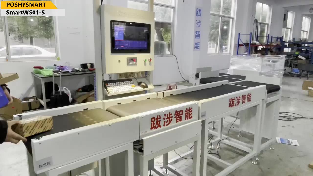 Dws System Cubiscan Parcel Sorting System Dimensioning Weighing Scanning Machine For Warehouse ...