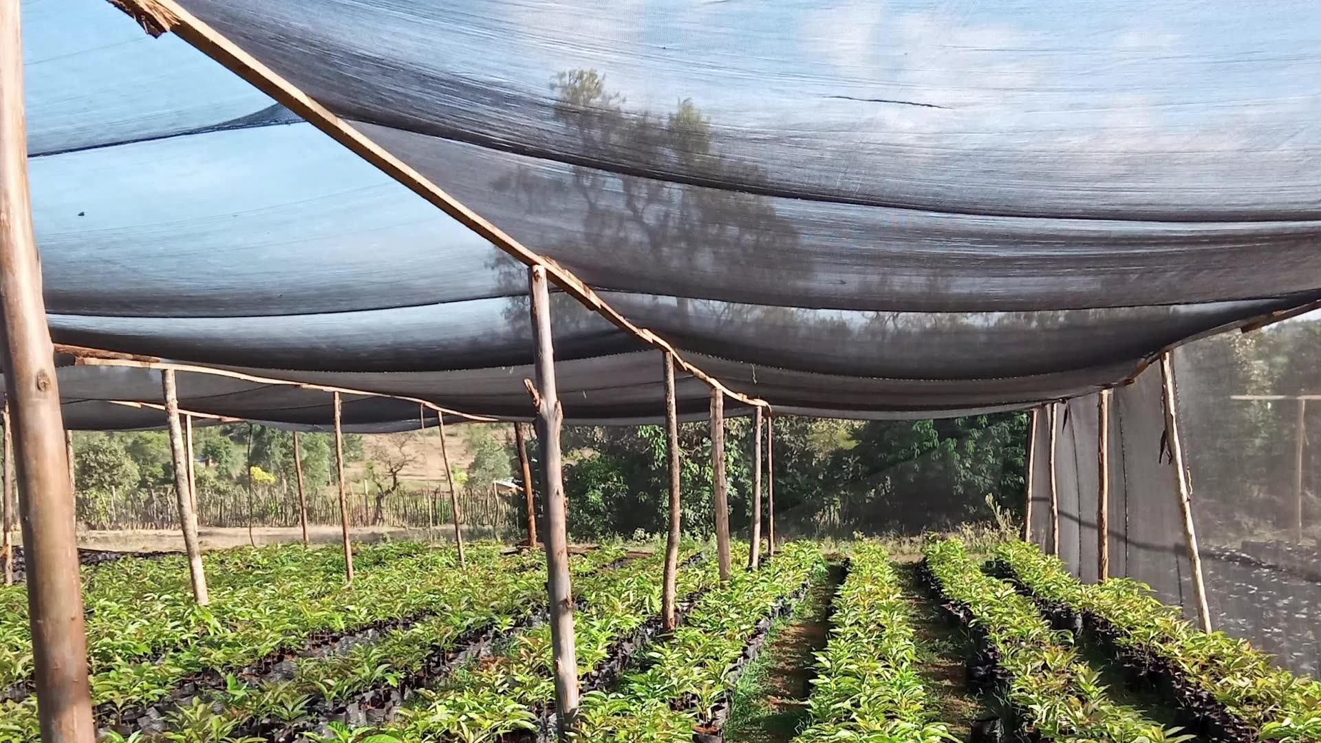 Garden Agricultural Mulching Film Weed Barrier Fabric Weed Mat Control ...