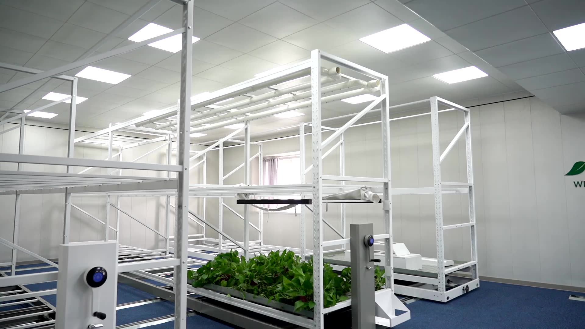 Greenhouse Hydroponic Vertical Grow Rack System With Led Grow Light ...