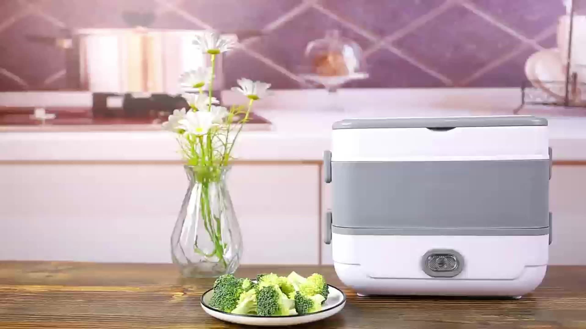 Self-heated Electric Tiffin Lunch Box For Truck Car And Office With ...