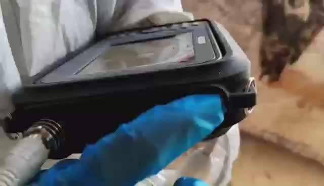 Sheep Pig Cattle Horse Pregnancy Vet Ultrasound Sonar Scanners - Buy ...