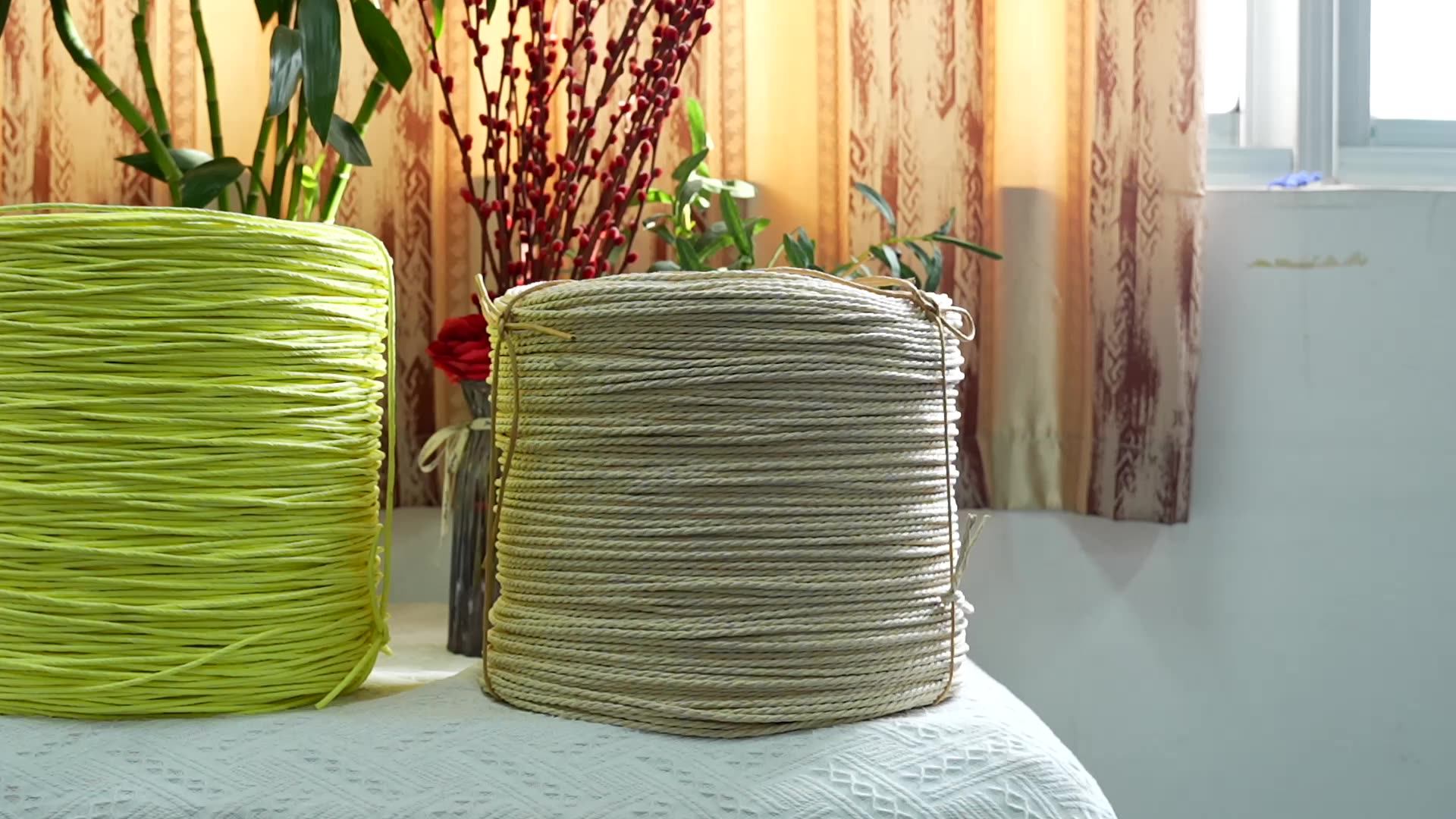 Instagram Style Biodegradable Paper Cord Waterproof Twisted Twine Paper ...