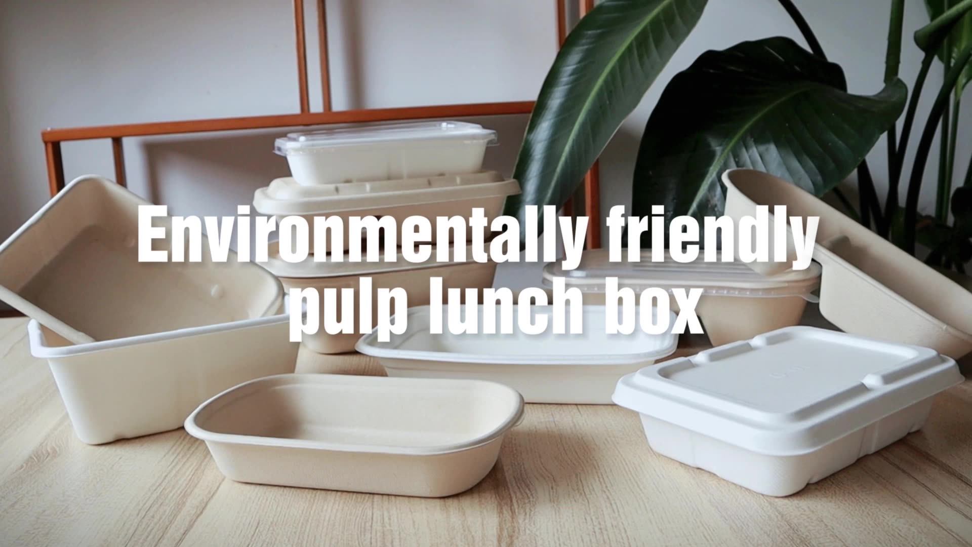 SenAng Custom Biodegradable sugarcane pulp Lunch Box with Lid