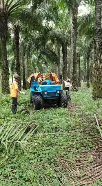 Palm Oil Plantation Tractor 4x4 Mini Farm Machinery - Buy Tractor ...
