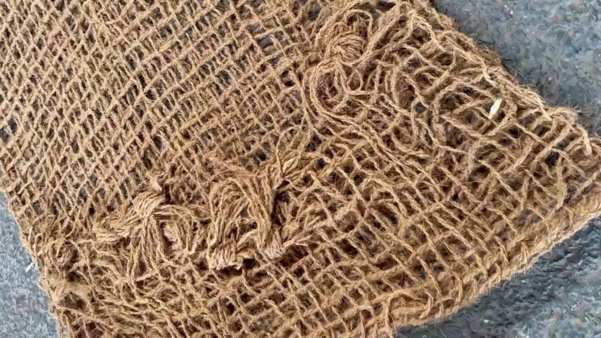 Coconut Coir Net 2 X 20m: Made From Vietnam: Specialized Coconut Coir ...