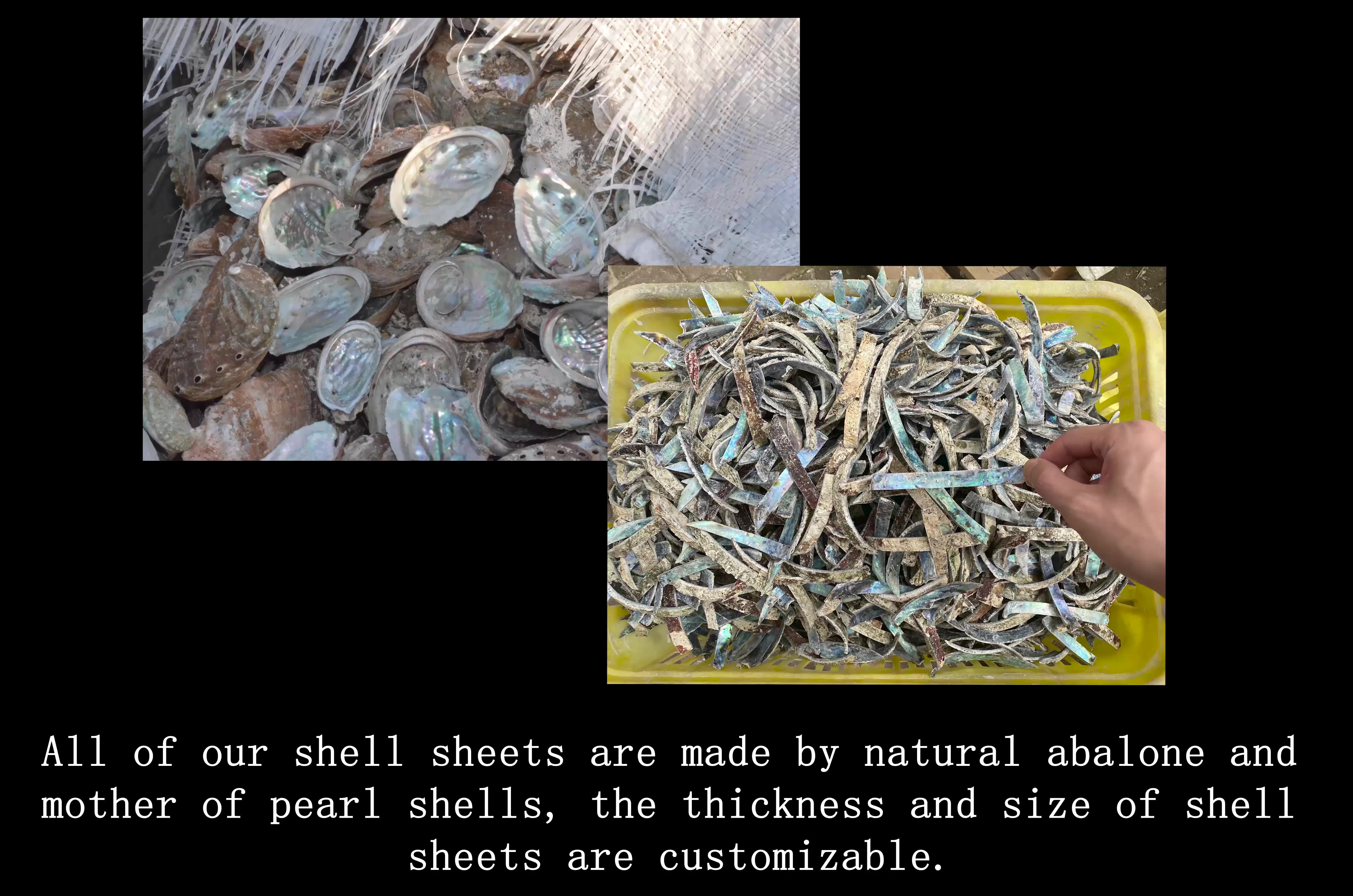 Db014 Beautiful Shining Paua Seashell Laminates Sheets Abalone Shell ...