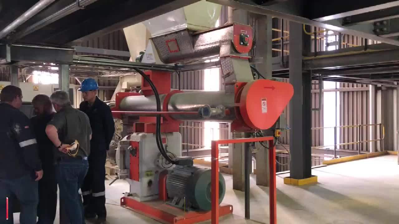 2-5t Per Hour Pelletizer Machine For Animal Feeds - Buy 2t Pelletizer ...