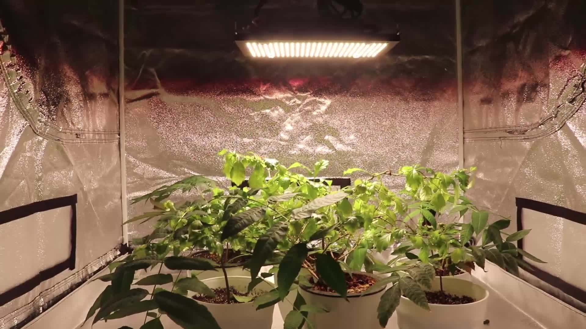 60w Samsung Lm301 301b Hydroponic Full Spectrum 3000k 6000k Red Led ...