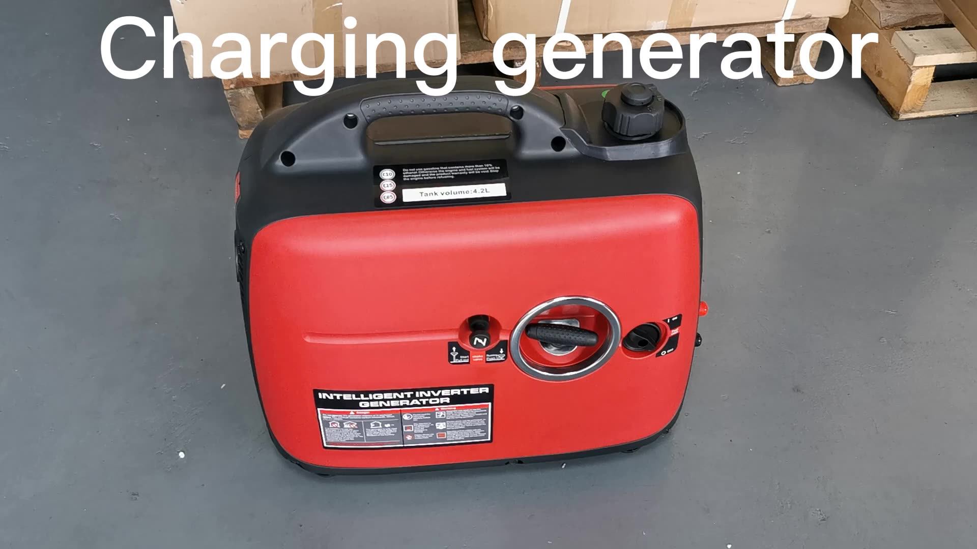 Portable 1kw 12 Volt Dc Generator For Battery Charge - Buy 12 Volt Dc ...