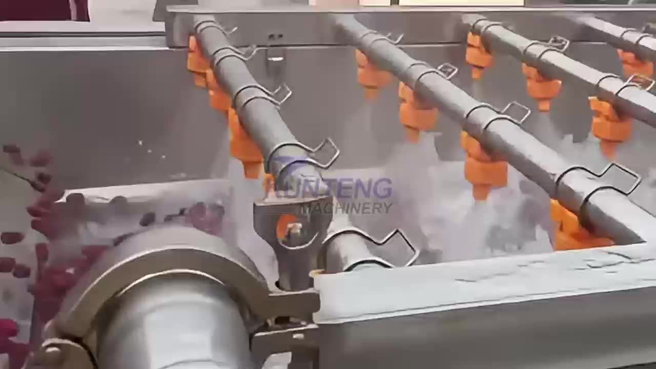 Industrial Chilli Bean Sprout Washing Machine Seeds Shrimp Bubble ...