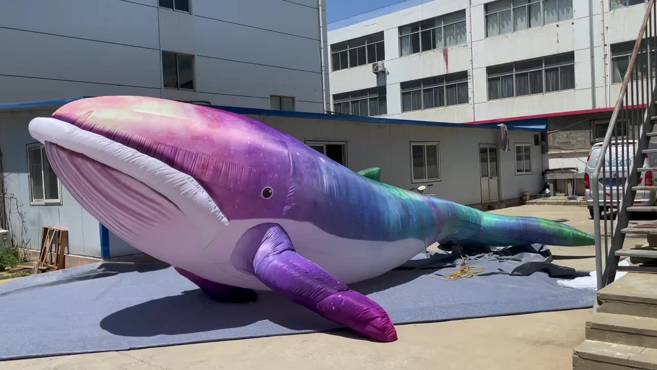 Inflatable Custom Hollywood Movie Reel - Buy Inflatable Movie Reel ...