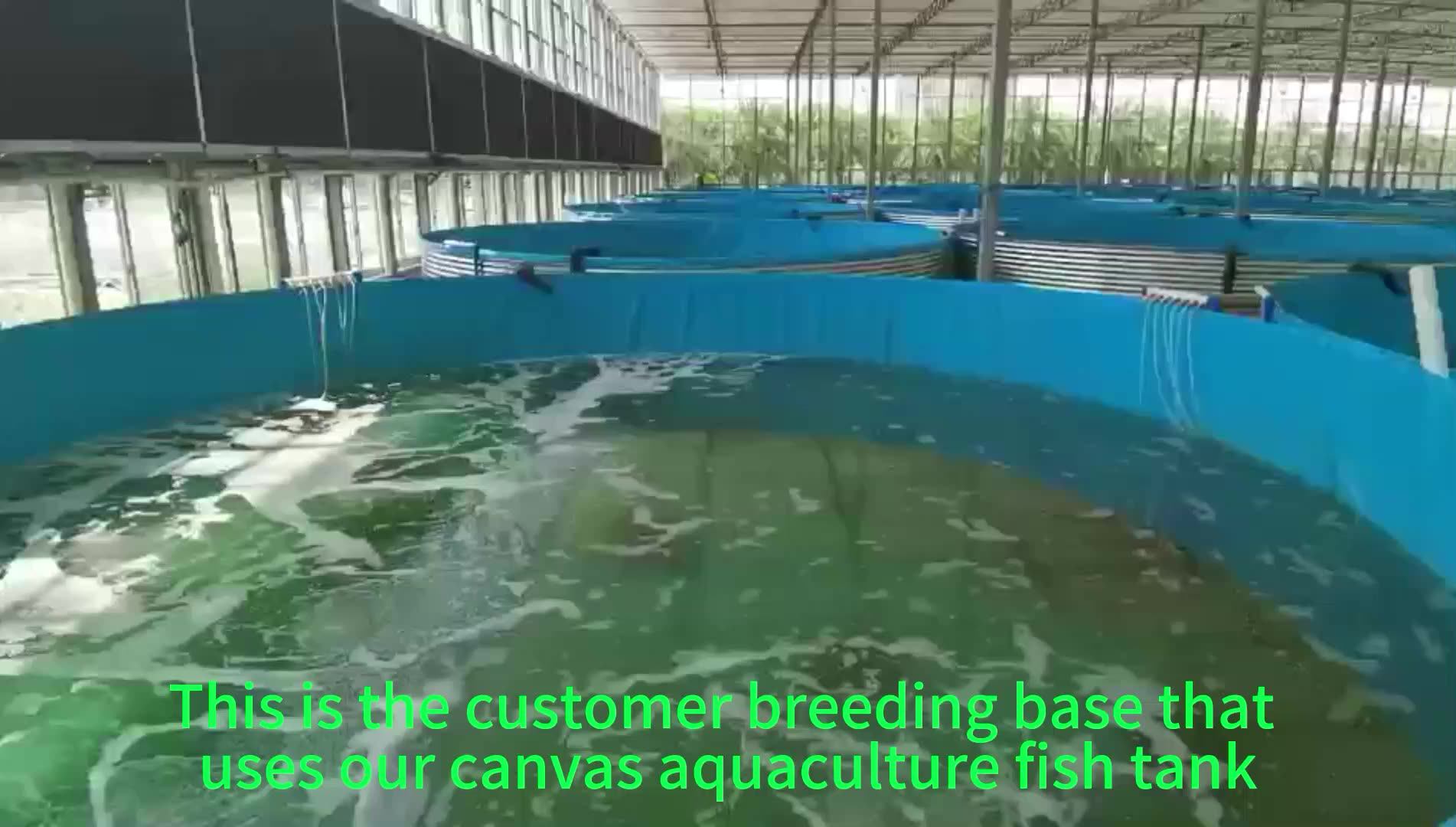 Fish Farming Tank Aquaculture 65000 L Ras Farming System Shrimp Tilapia ...