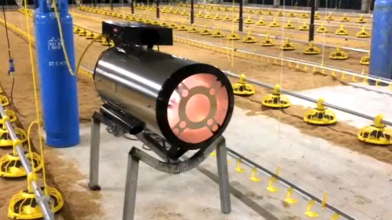 Damly Broiler House Heating Systems Propane Poultry Gas Chicken Coop ...