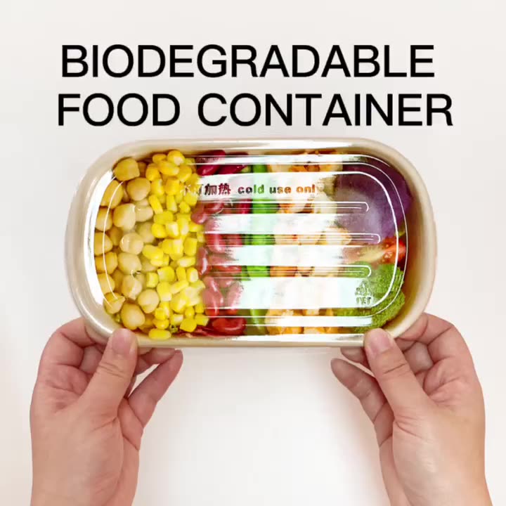 Factory Wholesale Custom Disposable Biodegradable Food Packaging