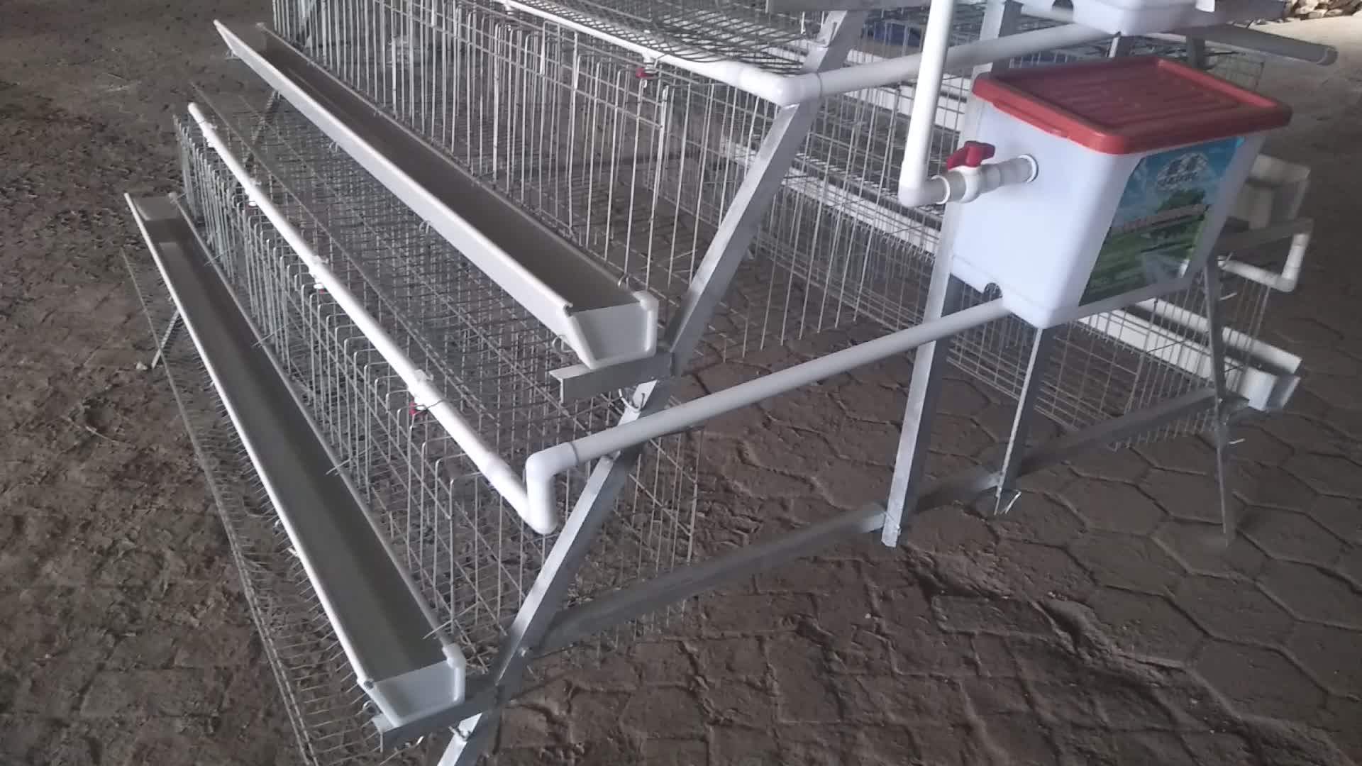 Chicken Cage/chicken Cage Factory Design Layer Cage For Chicken Farm ...