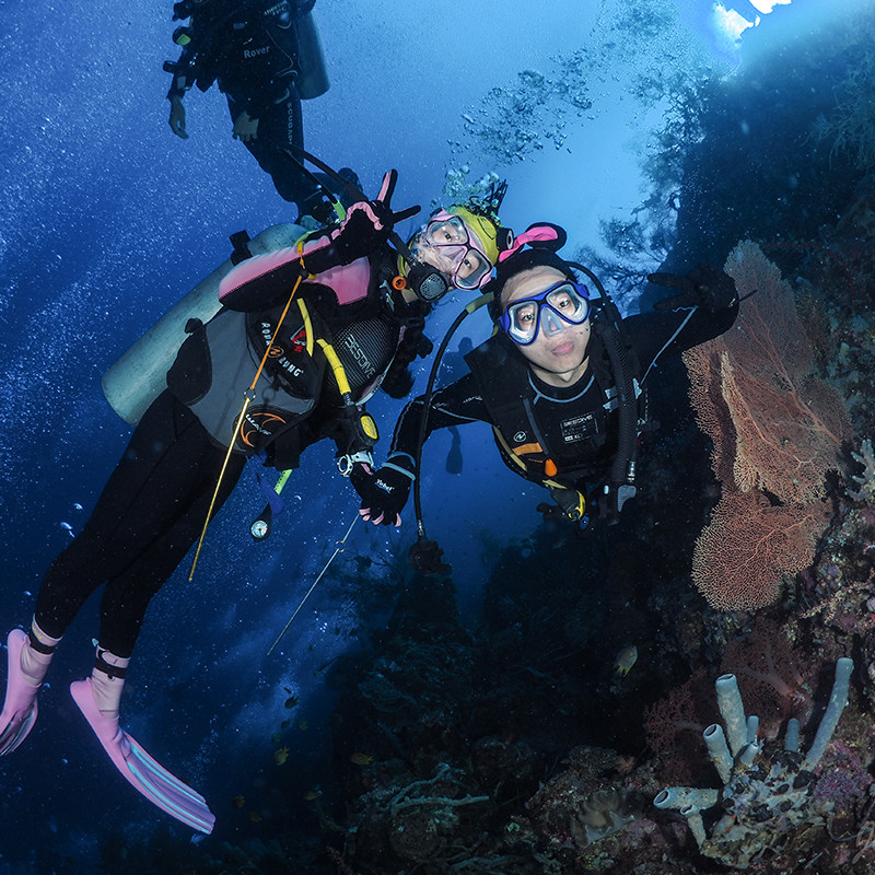 眼界大开！巴厘岛潜水考证攻略：OW/AOW证+图兰奔PADI潜店深度体验-潜水-淘宝百科网