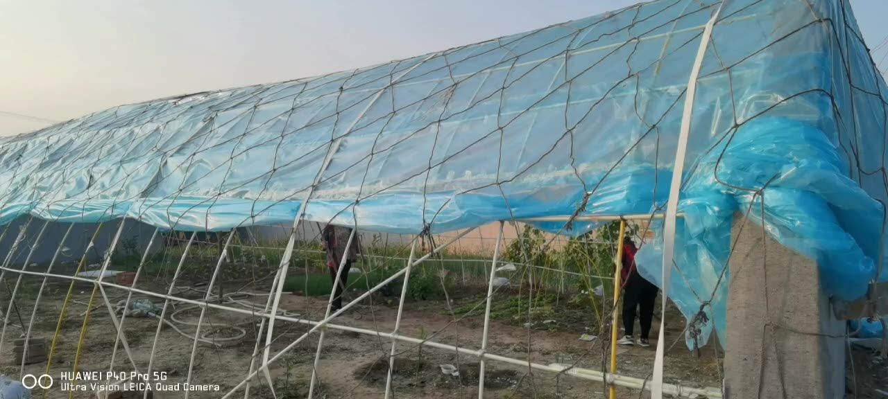 Flexible Round Fiberglass Rods Vegetable Shed Support Elastic Solid ...