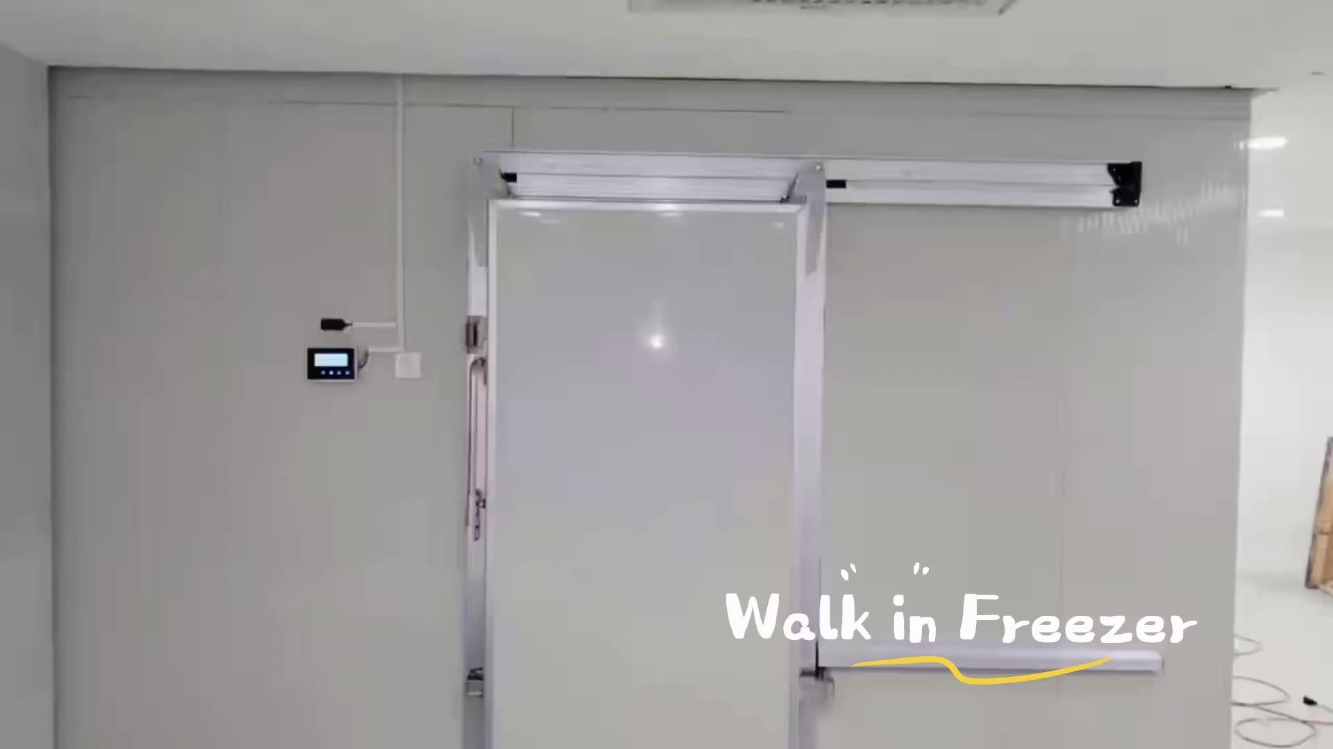 Freezer Room Kits Frozen Food Chiller Industry Cold Storage Walk In ...