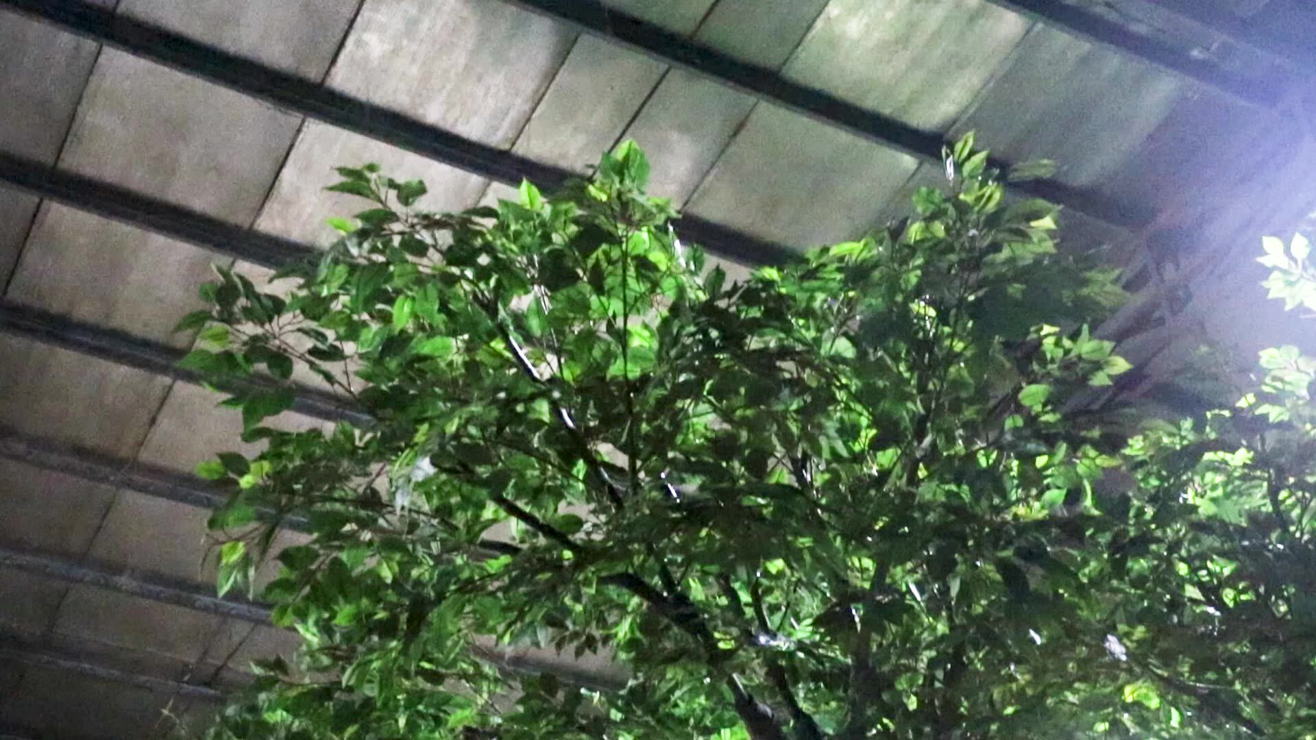 Custom Design Diy Big Artificial Tree Personalized Large Fake 1-10m 3 ...