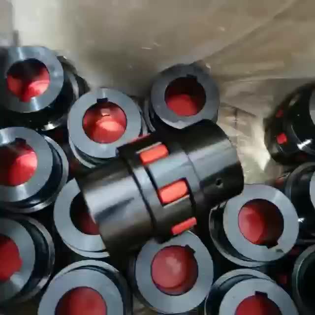 Cis Plastic Flexible Encoder Coupling Stepper Servo Motor High Torque ...