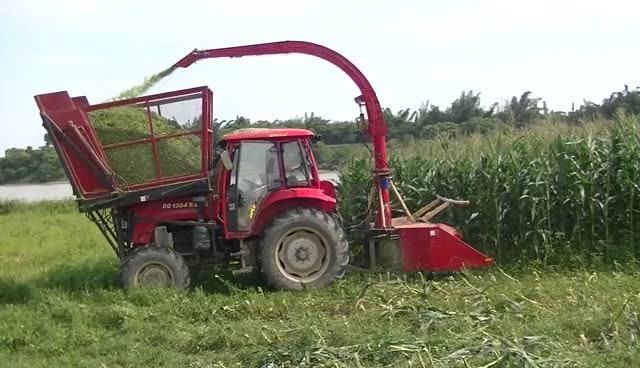 Tractor Mounted Mini Forage And Silage Harvester With Hopper For Corn ...