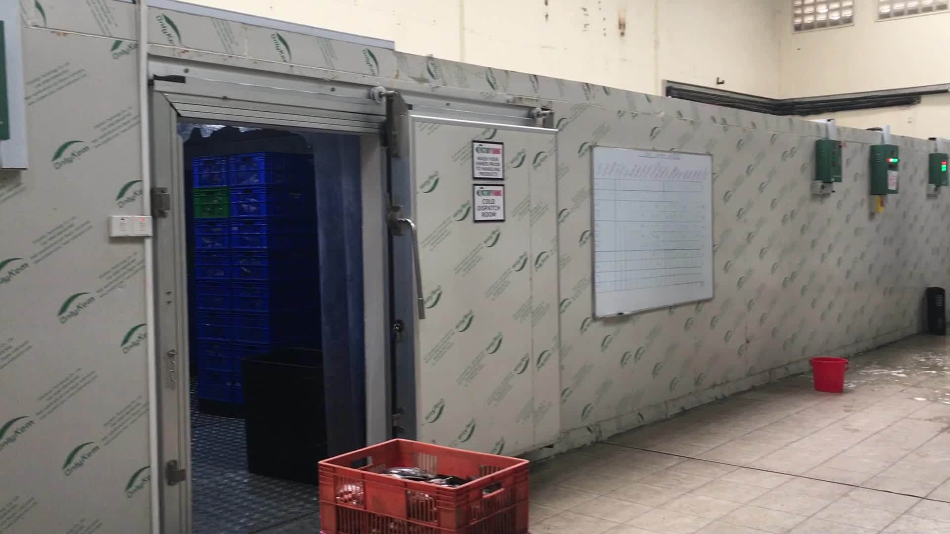 Quick Freeze Cold Storage Room - Buy Quick Freeze Room,Cold Storage ...