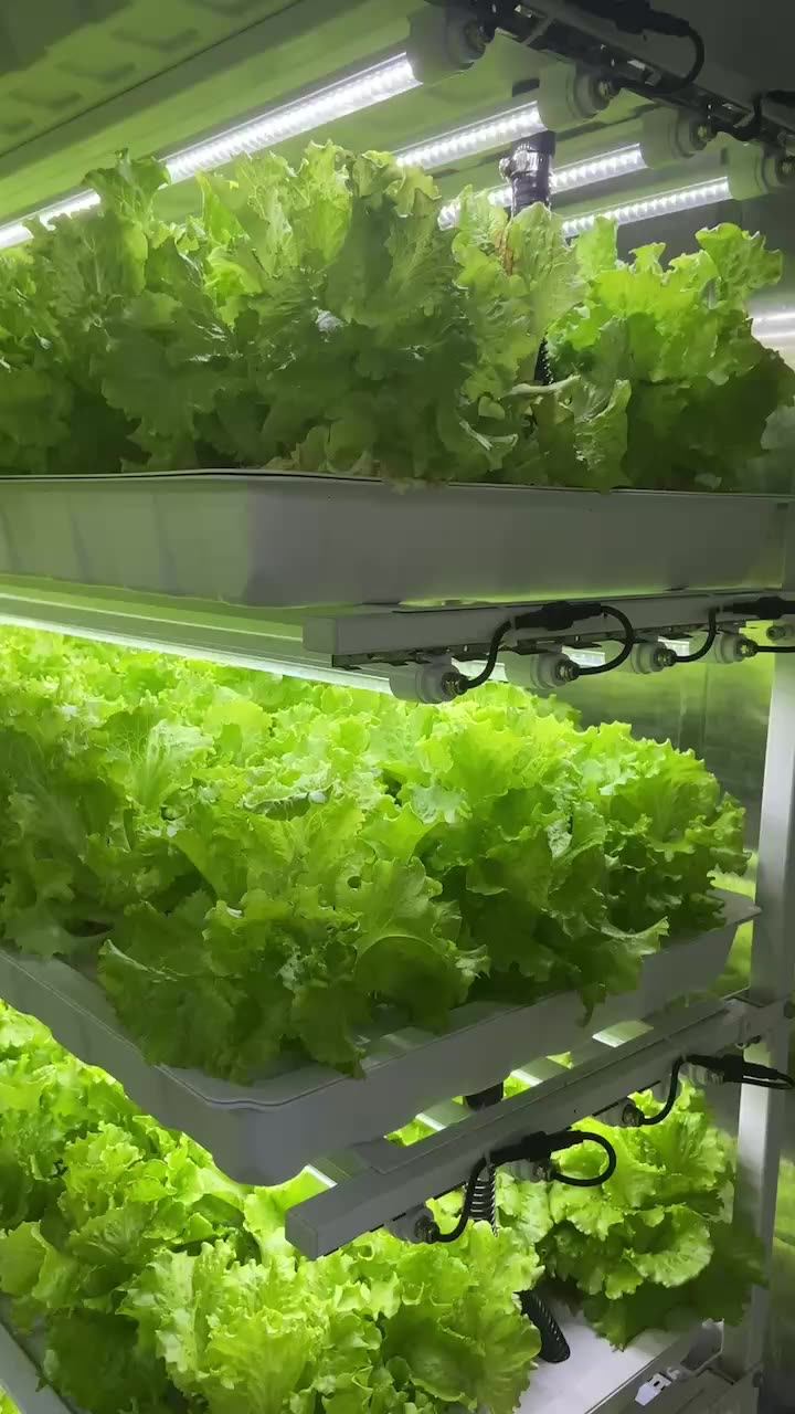 China Best Quality 40ft Shipping Container Microgreens Container ...