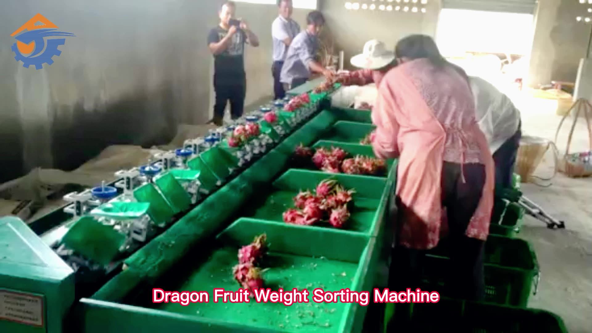 7 Grades Tomato Potato Mango Avocado Fruit Vegetable Weight Sorting ...