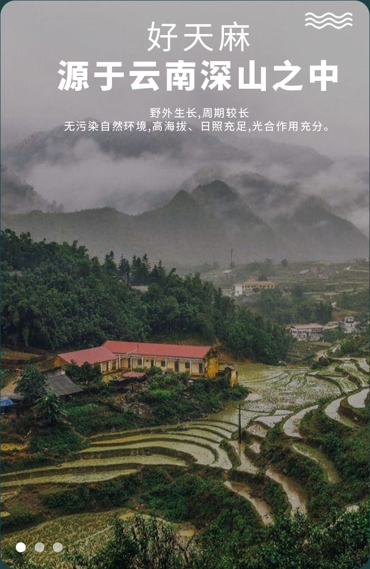 云南深山老林滋补老店