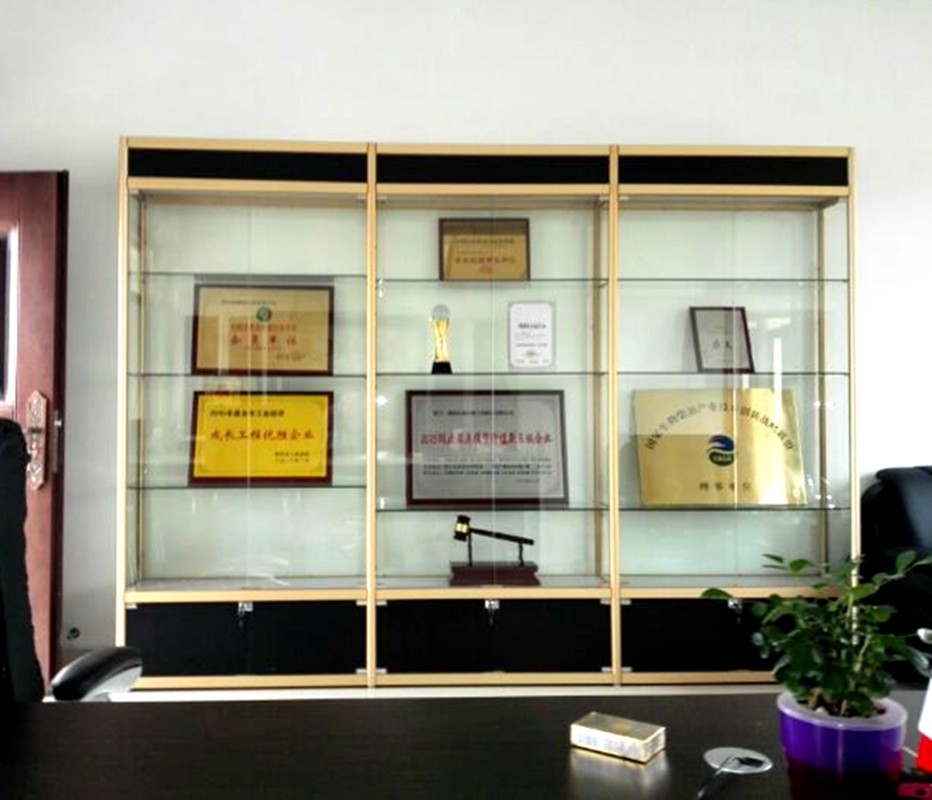 Honor certificate display cabinet Trophy medal Boutique points display ...