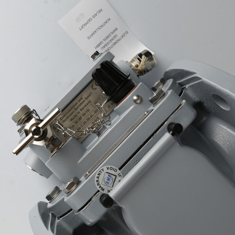 Supply of EMB gas gas relay BF80 10 09-1.25.28.41.0213 imported from ...