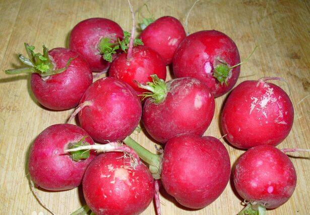 Fresh vegetables mini radish Cherry radish small red round radish 500g ...
