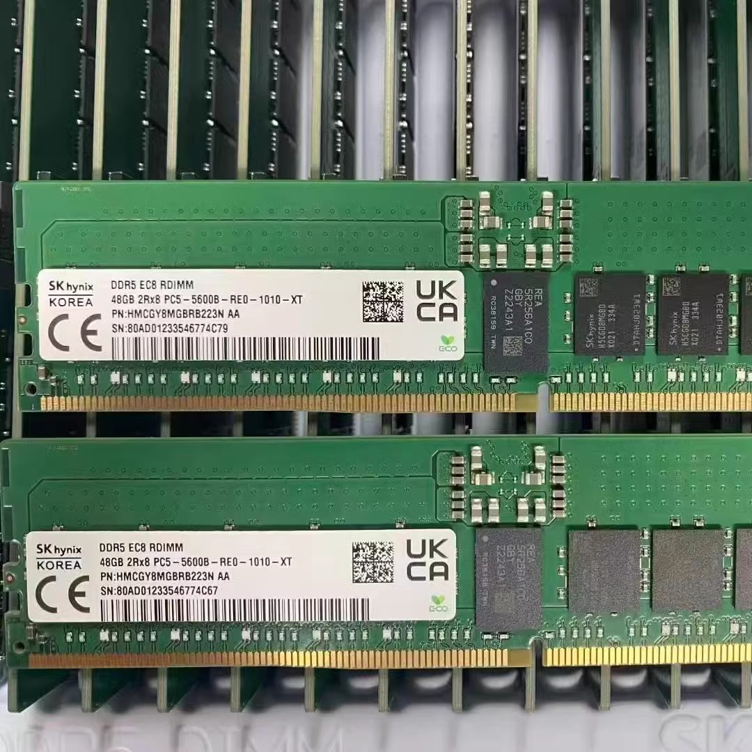 SK 48G DDR5 2Rx8服务器内存：解锁数据中心的性能天花板，你准备好了吗？-企业级内存-淘宝百科网