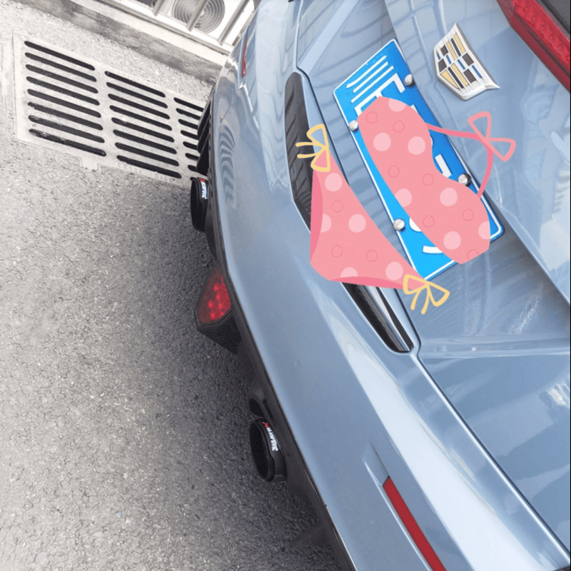 Cadillac ats-l custom exhaust tailpipe upgrade: carbon fiber direct ...